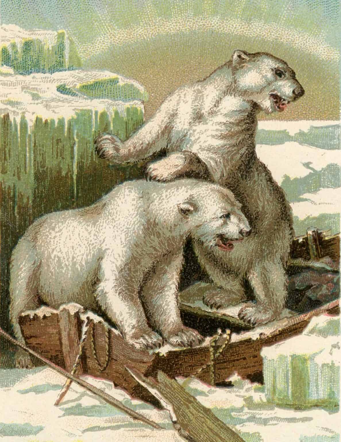 25+ Free Vintage Art Printables for Winter (Downloadable) - Cassie Jean