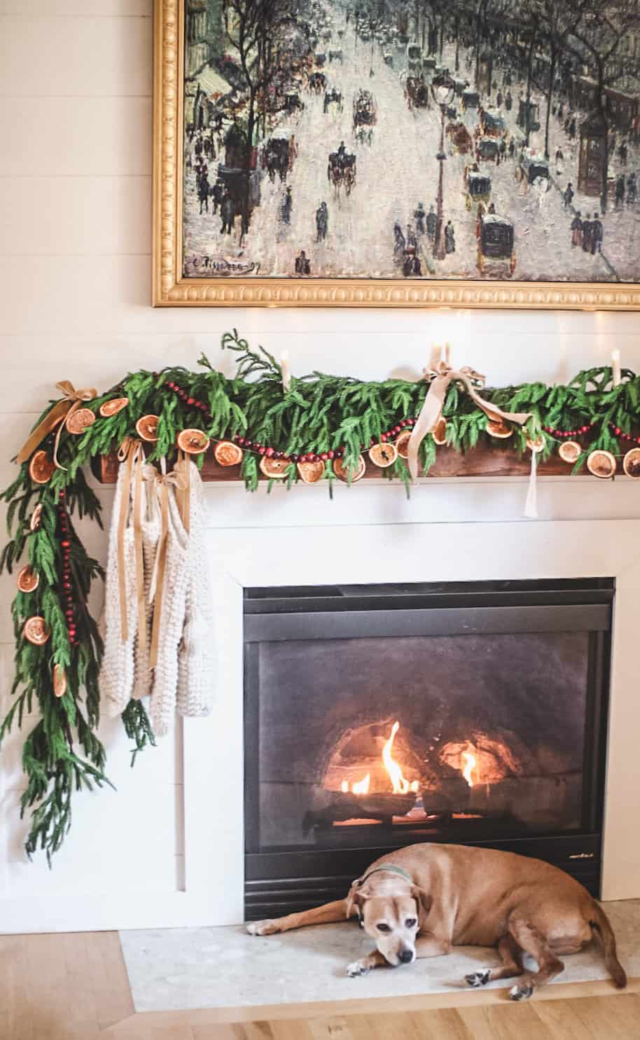 Easy Air Fryer Dried Orange Garland For Christmas - Cassie Jean