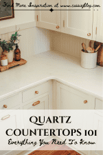 Complete Guide to Quartz Countertops: Pros and Cons - Cassie Jean